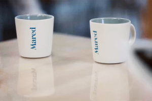 Mared BizServices - Hem